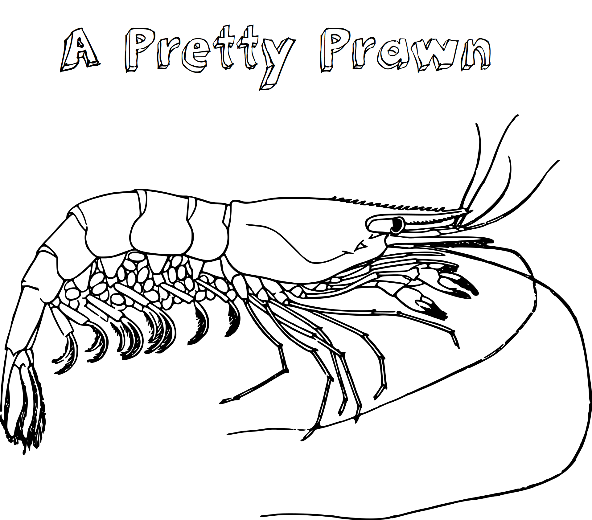 Crustaceans to colour and protect! | Violet's Vegan Comics