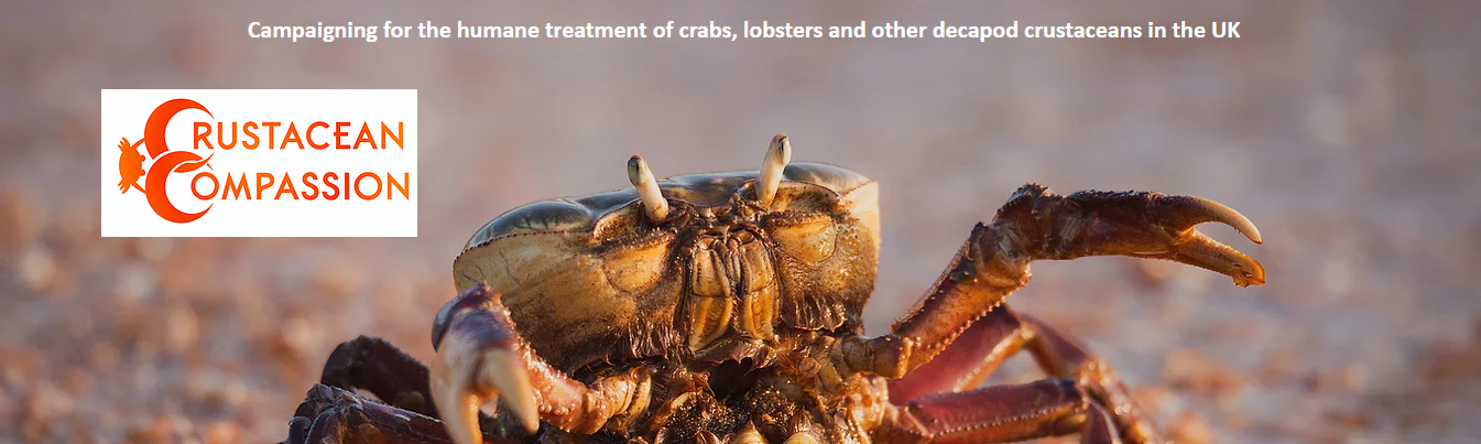 Take a selfie for lobsters | Violet's Vegan Comics